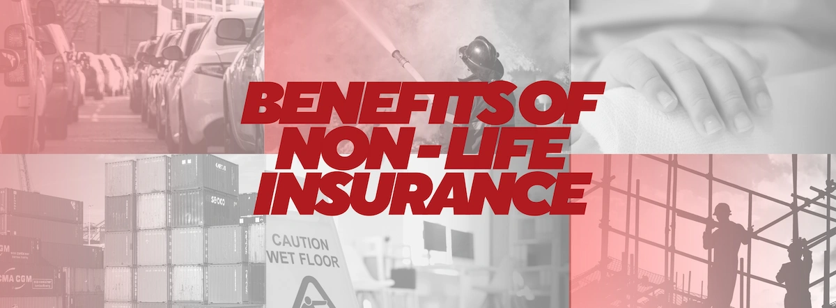 Benefits of Non-Life Insurance - Pacific Union Insurance Company